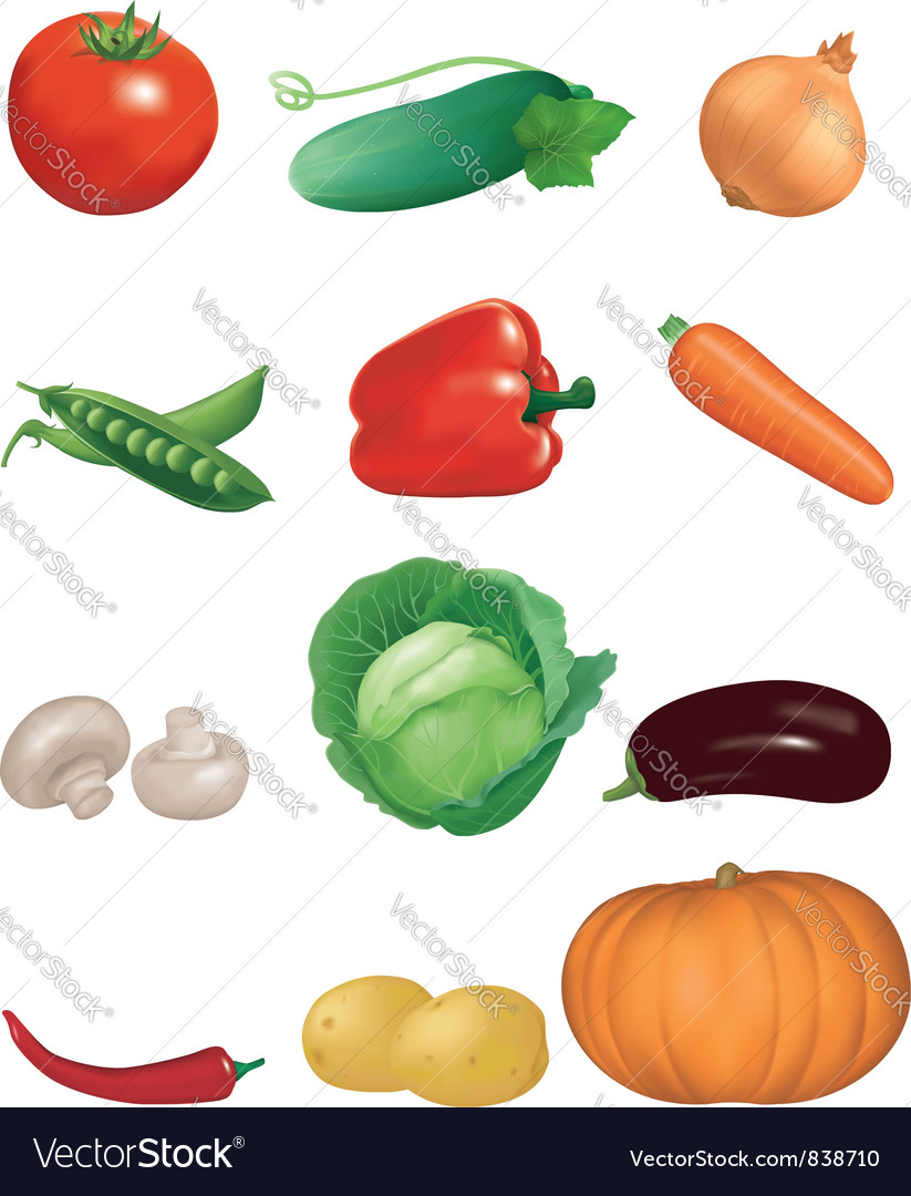 Collection vegetables Royalty Free Vector Image