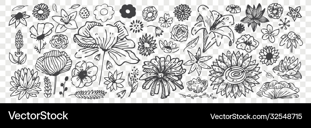 Hand drawn flowers doodle set Royalty Free Vector Image