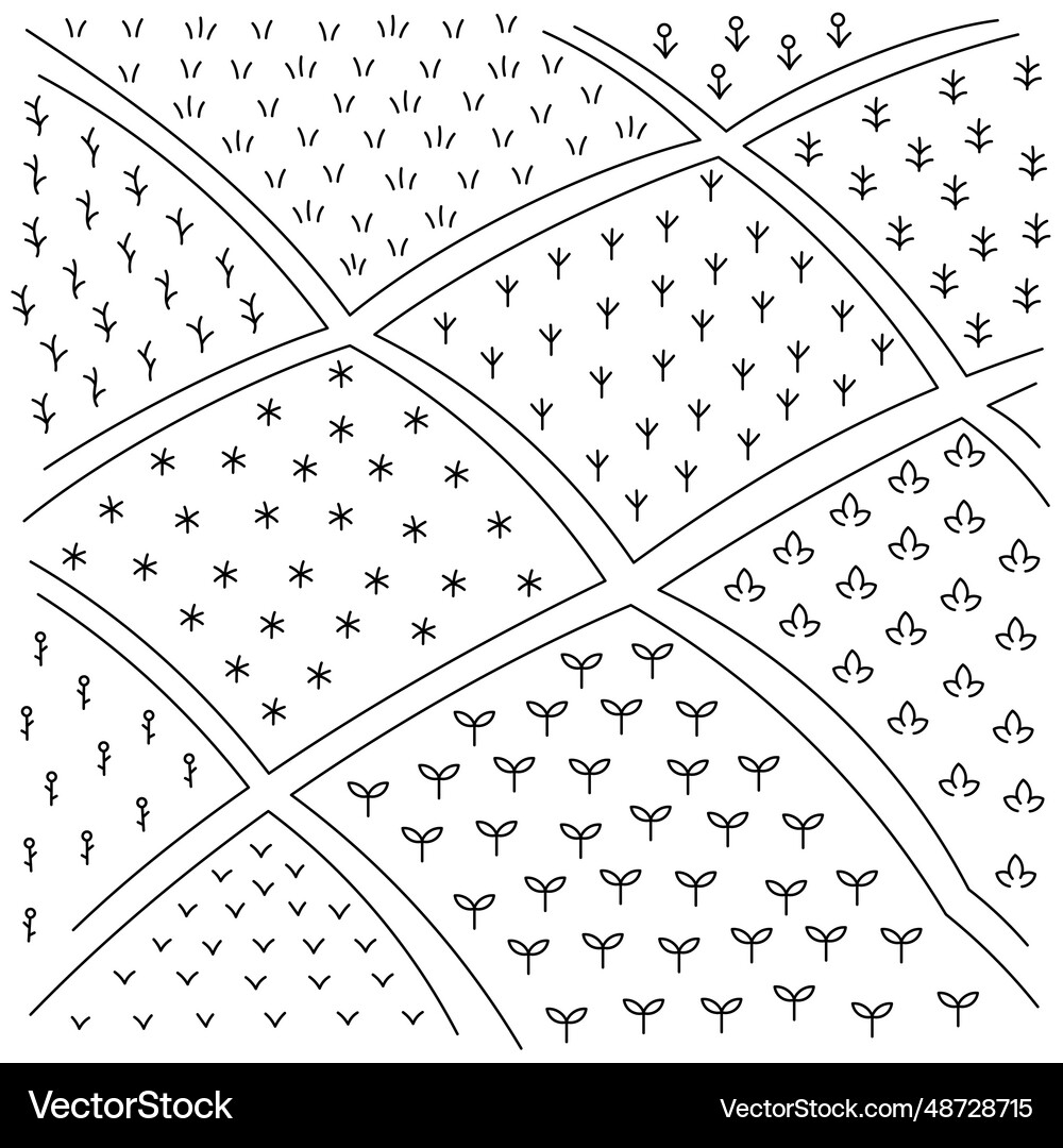 Land plot field with plants agricultural land Vector Image
