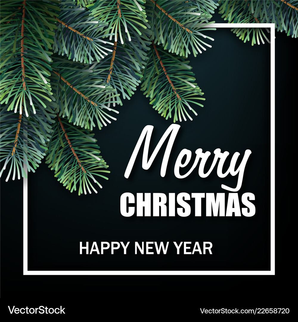 Christmas with realistic fir branches Royalty Free Vector