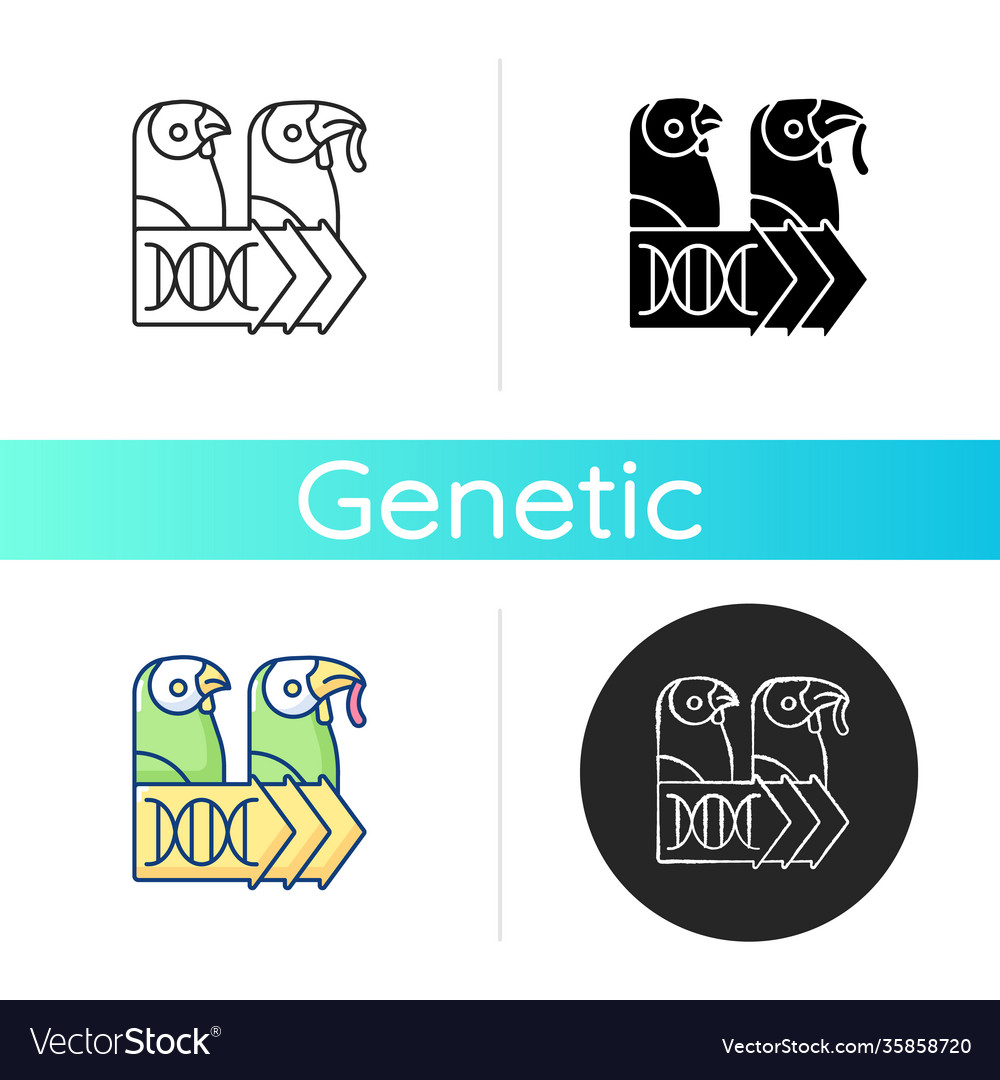 Evolutionary genetics icon Royalty Free Vector Image