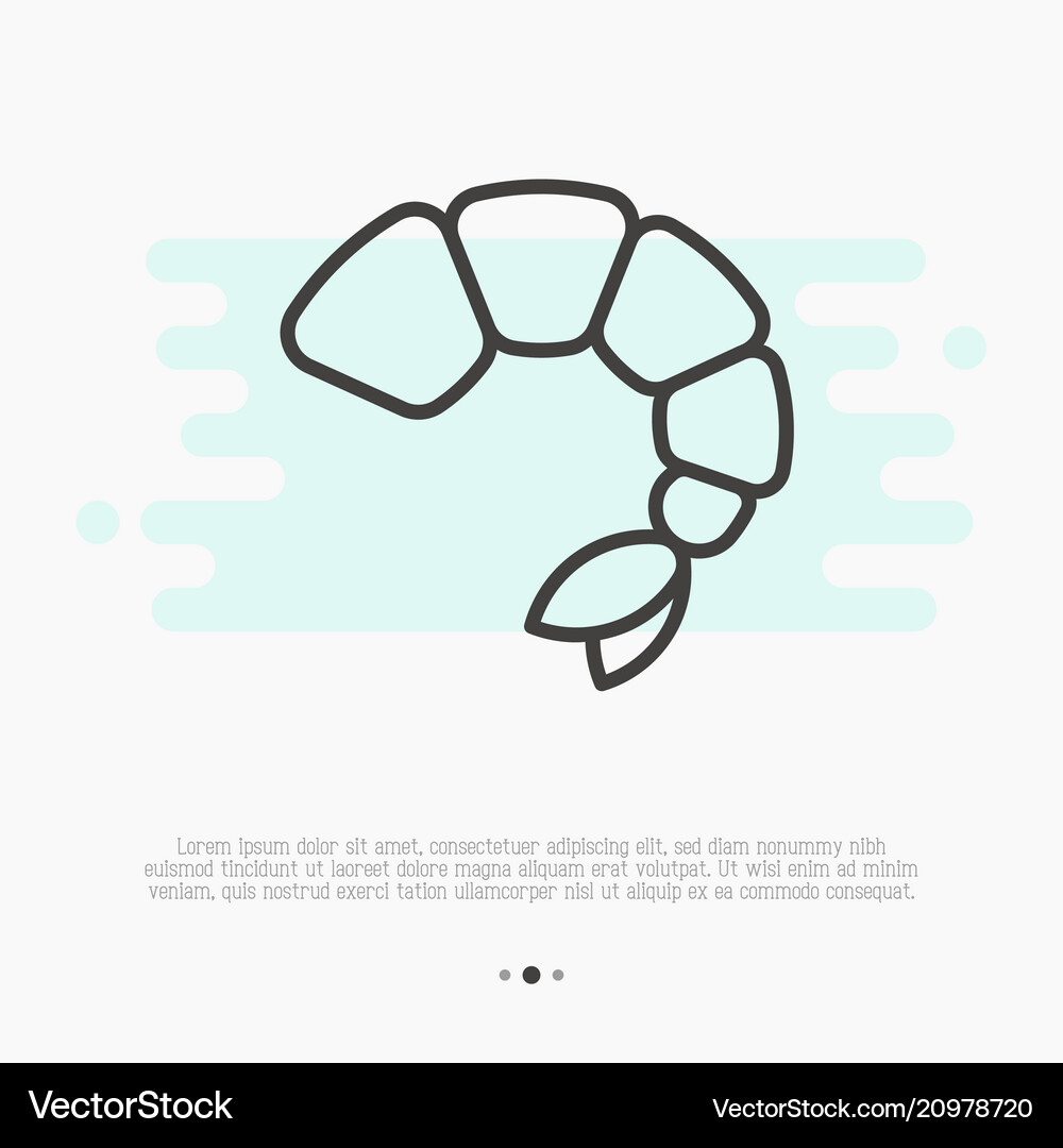 Thin line icon of shrimp for logo Royalty Free Vector Image