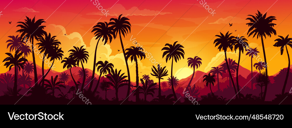 Tropical jungle sunset forest landscape silhouette