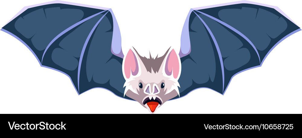 Cartoon of bat Royalty Free Vector Image - VectorStock