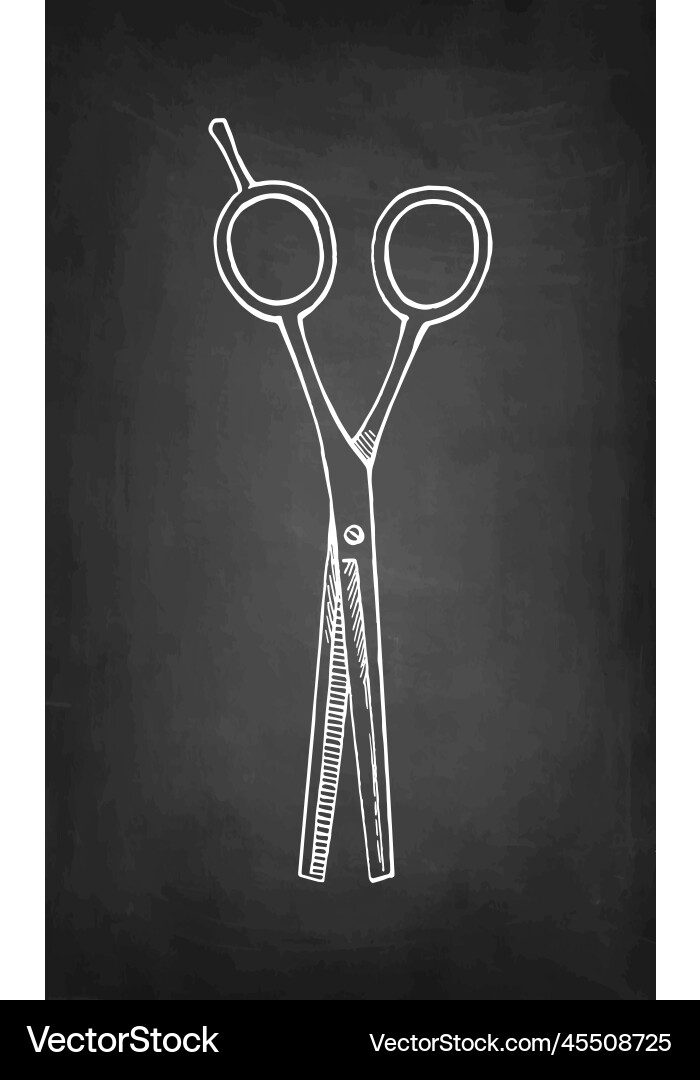 Hairdressing scissors ink sketch Royalty Free Vector Image
