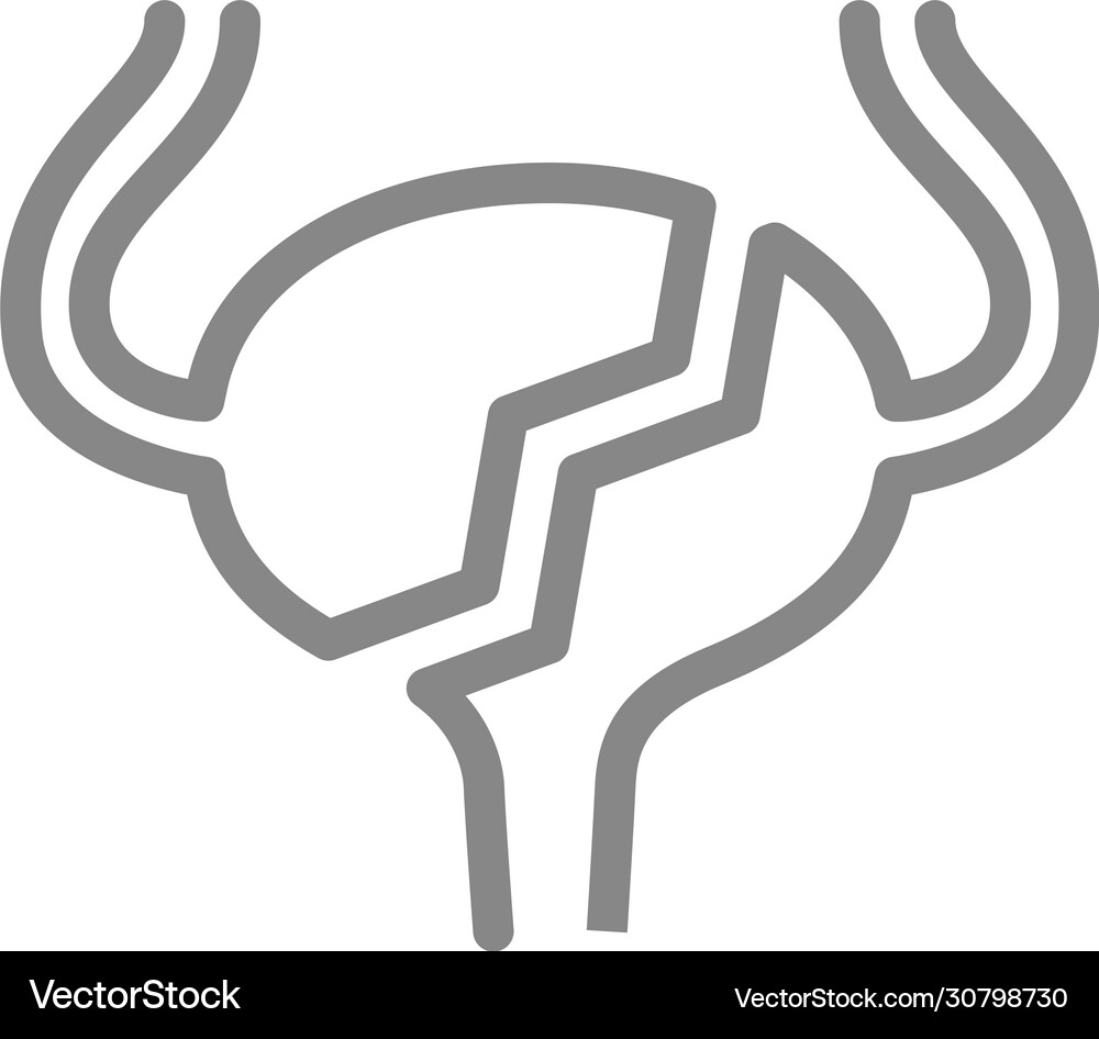 Broken urinary bladder line icon disease internal Vector Image