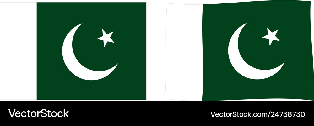 Flag pakistan simple and slightly waving Vector Image