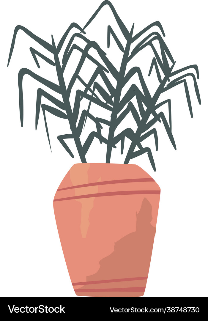 Plant inside pot Royalty Free Vector Image - VectorStock