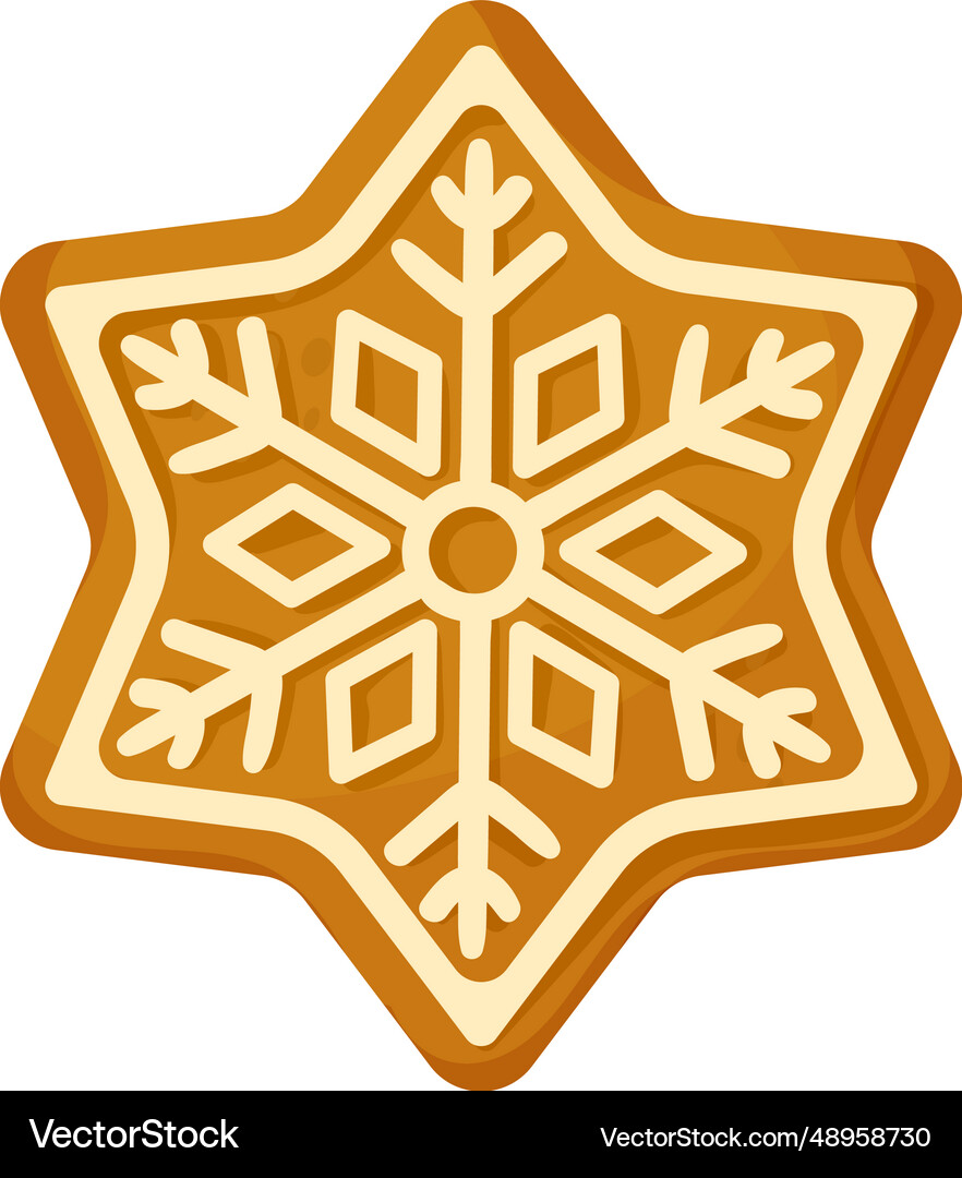 Snowflake gingerbread cookie as winter homemade Vector Image