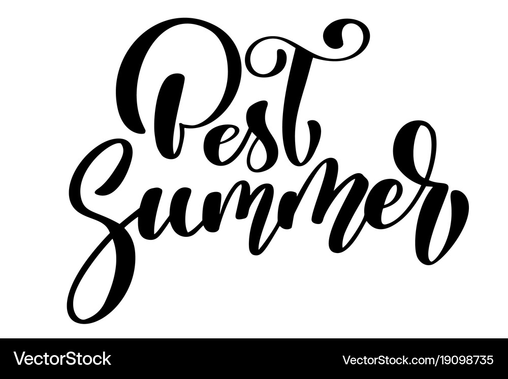 Best summer text hand drawn lettering handwritten Vector Image