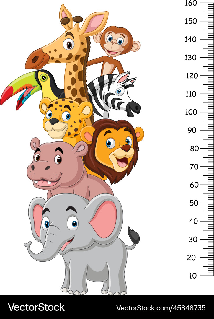 Cartoon zoo animals with meter wall Royalty Free Vector