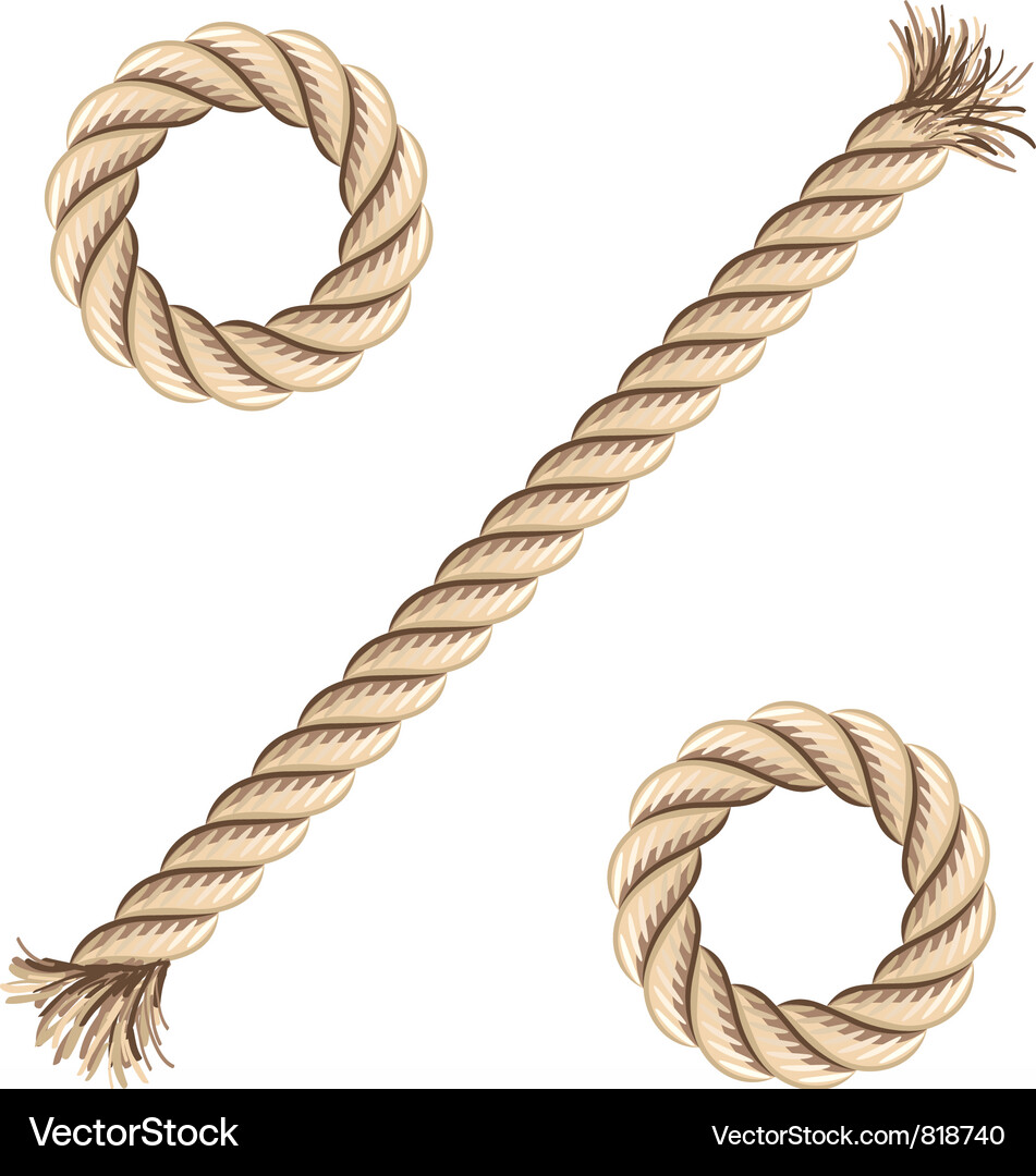 Rope Detail - Textured Strand Royalty Free Vector Image