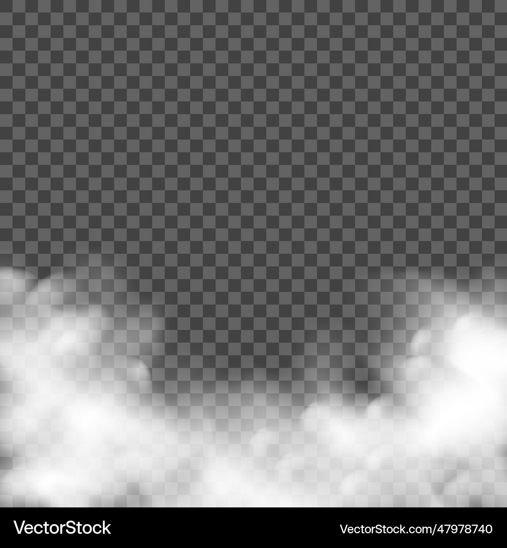 Smoke fog effect realistic mist transparent Vector Image