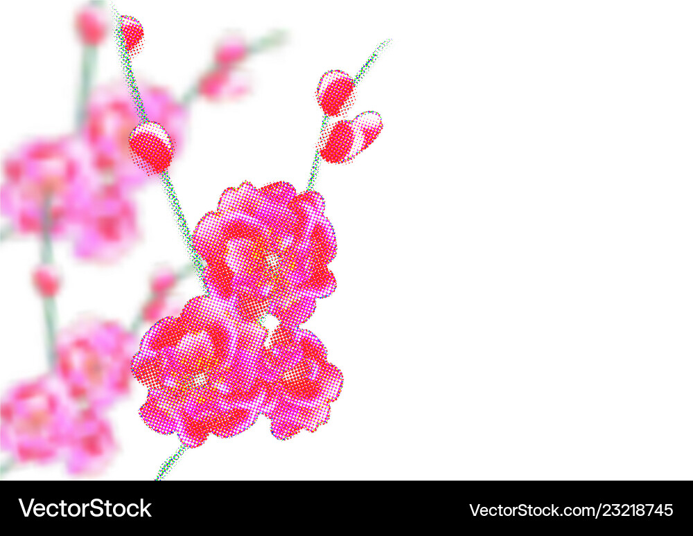Branches with delicate pink flowers and buds Vector Image
