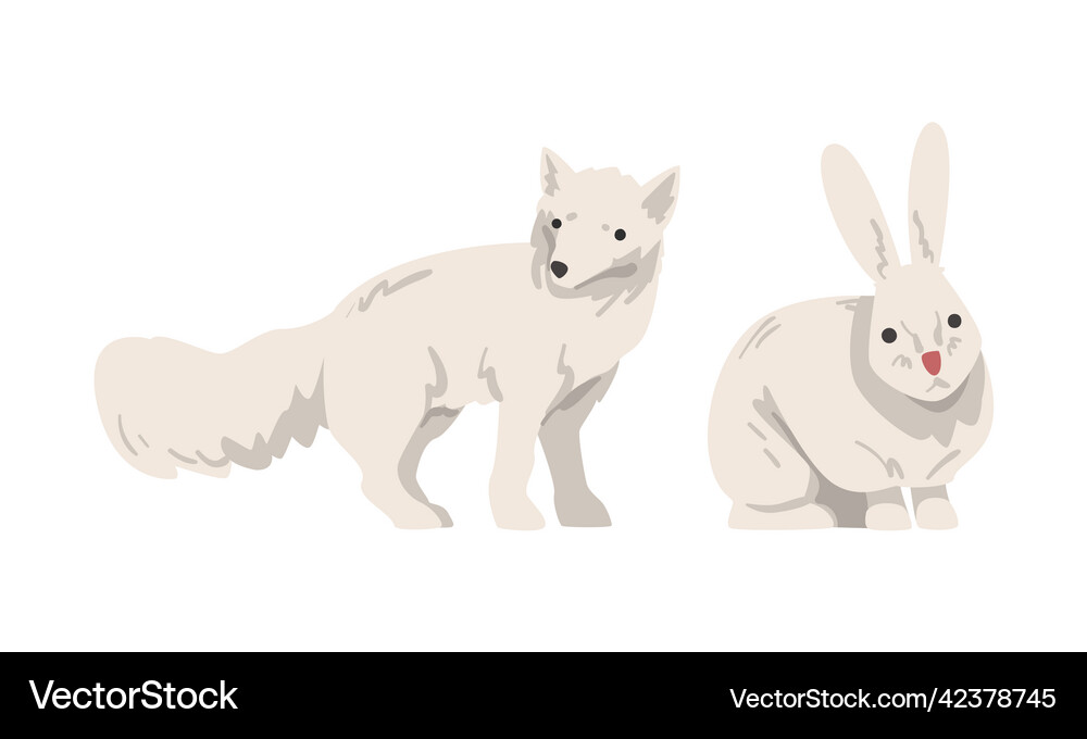 White fox and rabbit with fur coat as arctic Vector Image