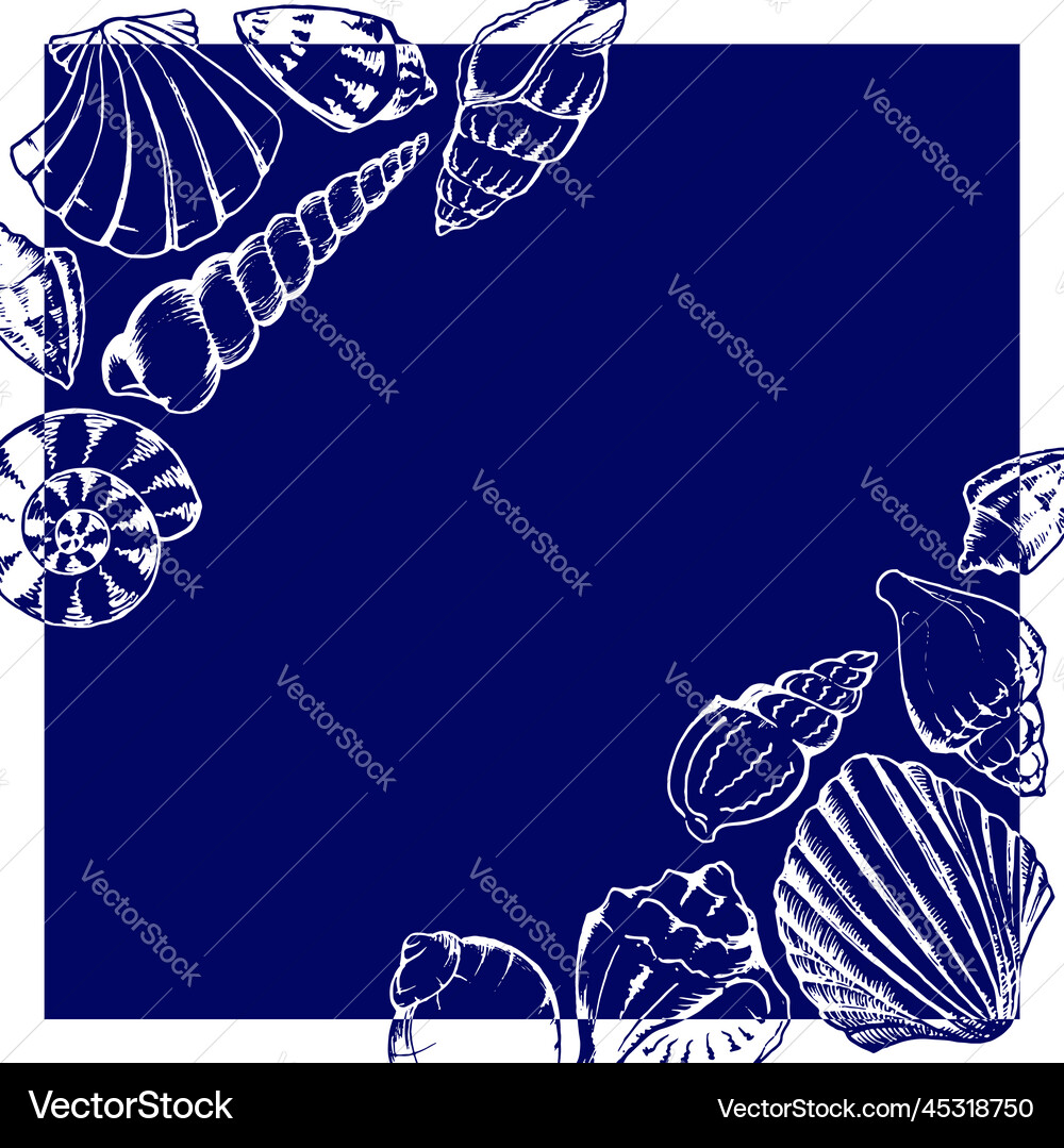 Monochrome sea shells line art hand drawn frame Vector Image