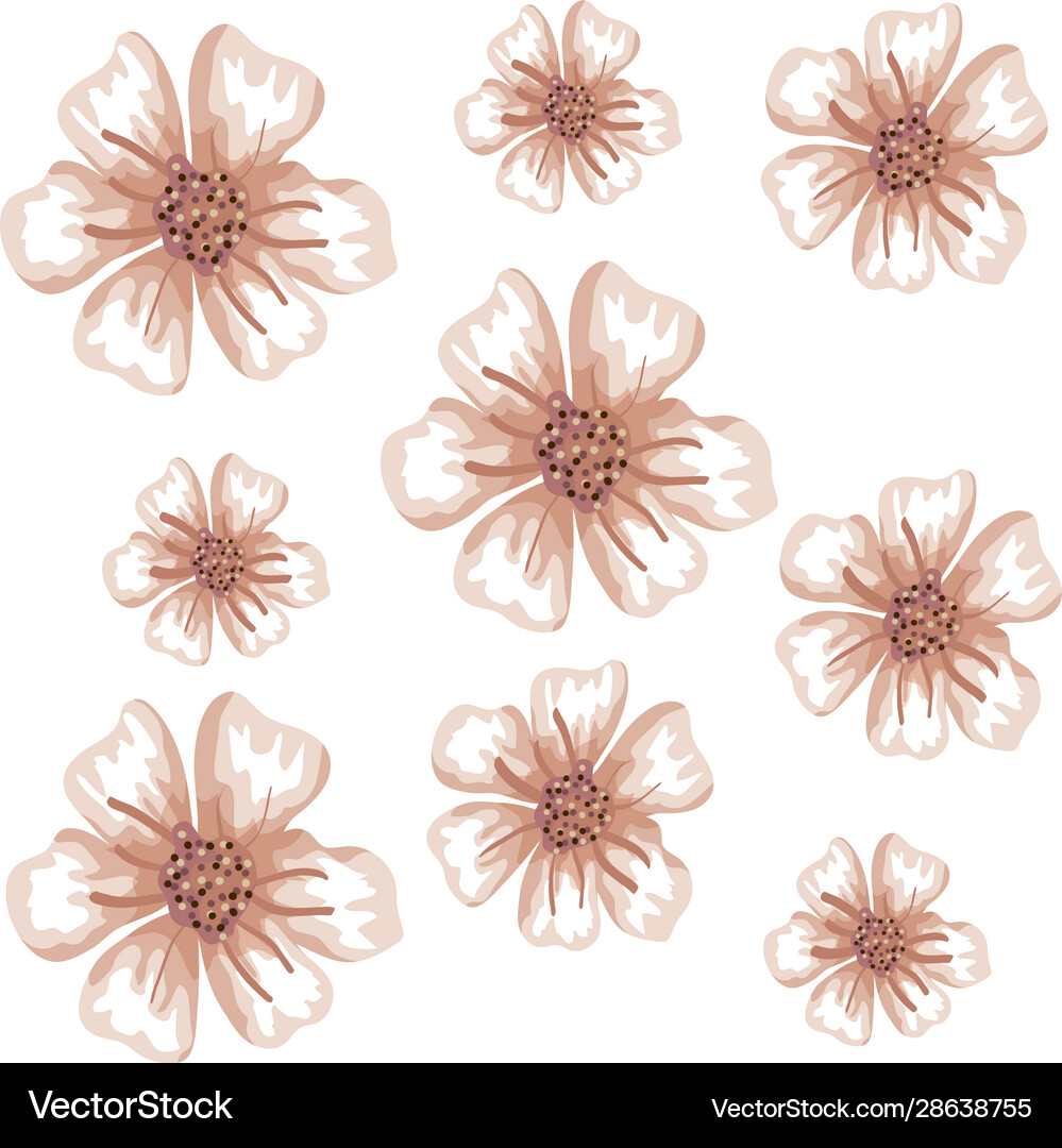 Background cute flowers naturals Royalty Free Vector Image