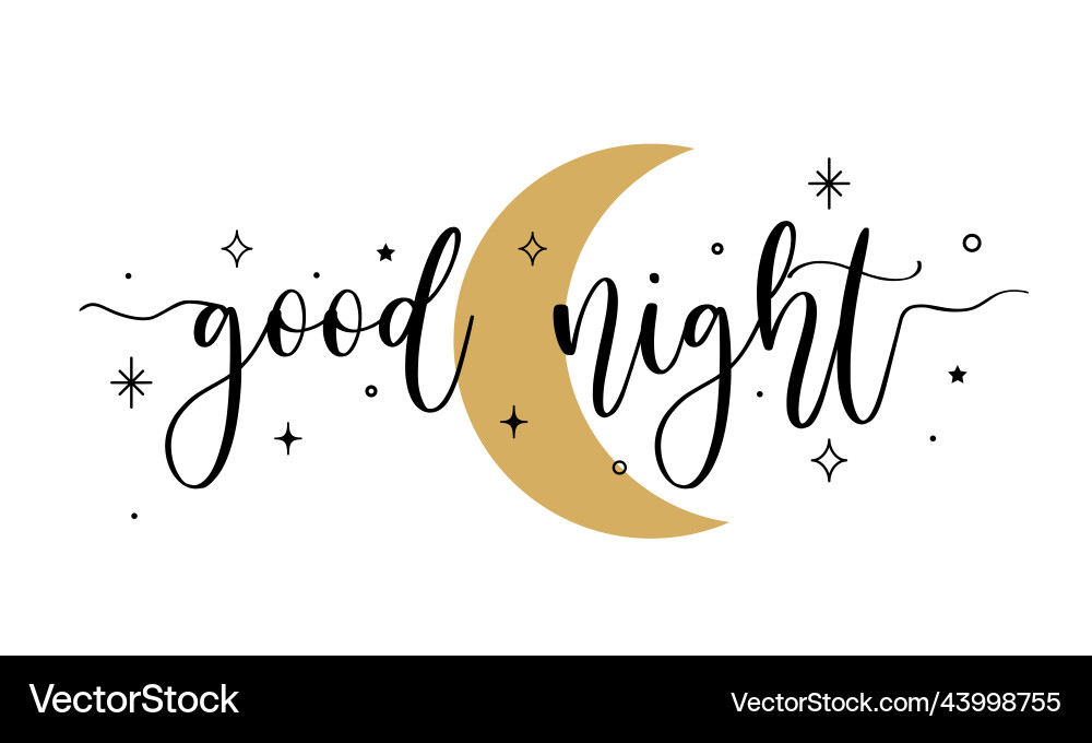 Good night handwritten modern brush lettering Vector Image