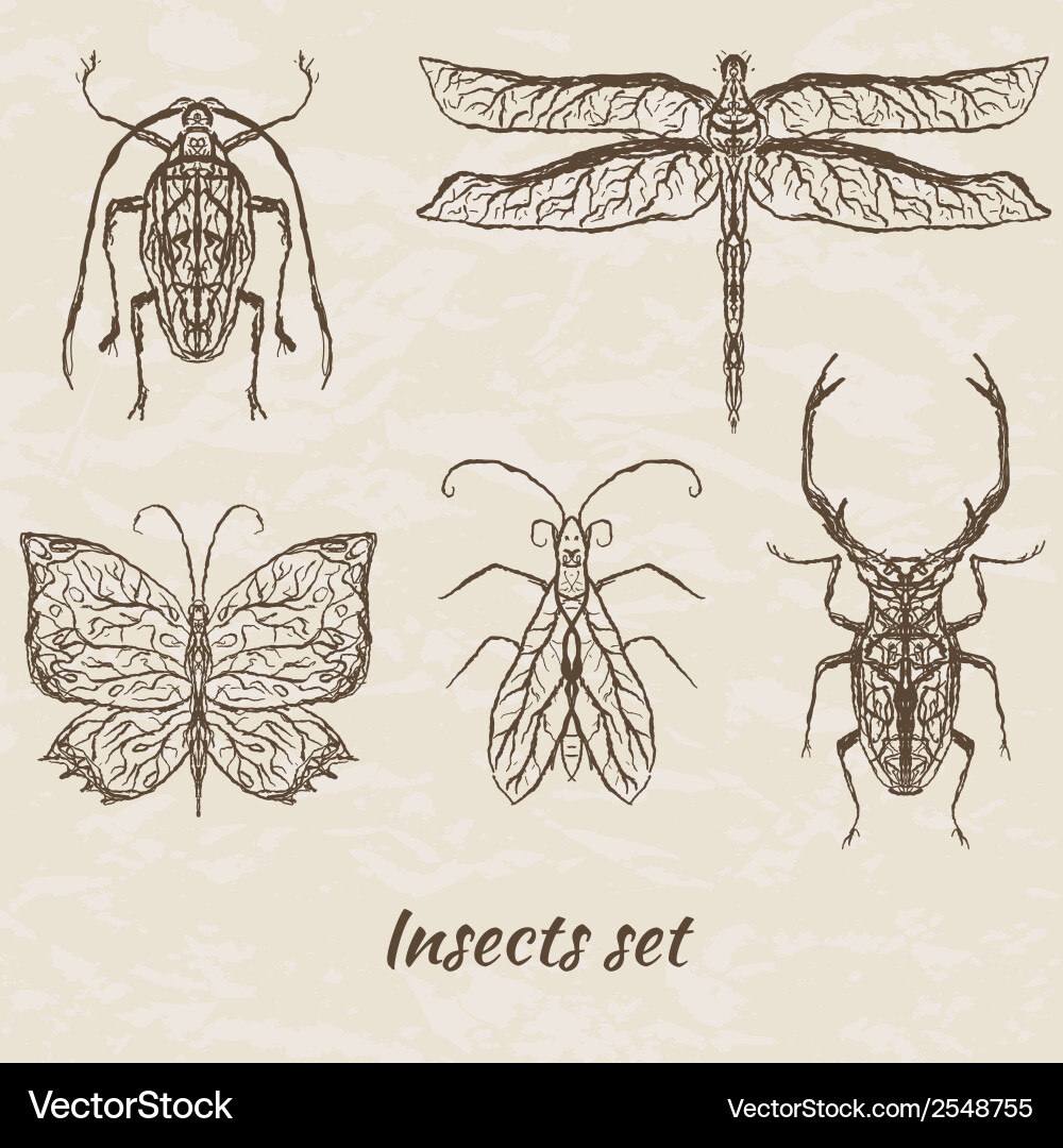 Set of abstract insects Royalty Free Vector Image