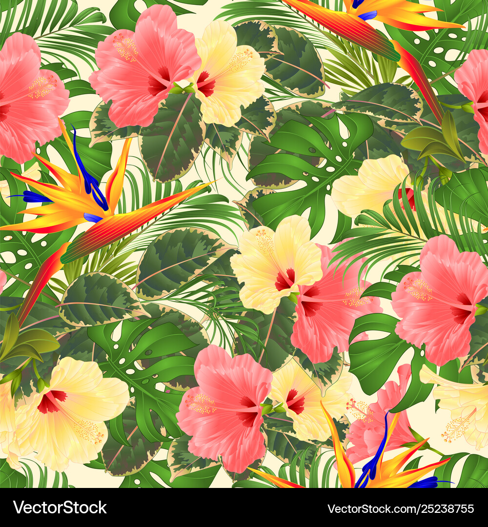 Tropical flowers seamless texture hibiscus Vector Image