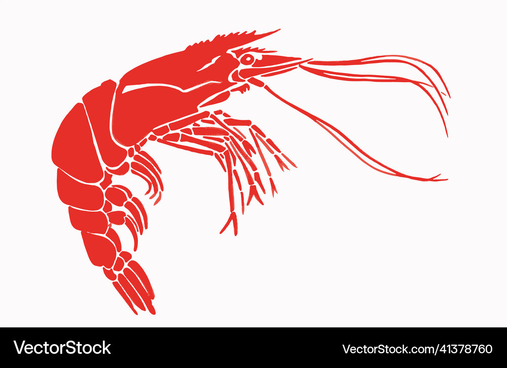 Seafood color element red shrimp isolated Vector Image