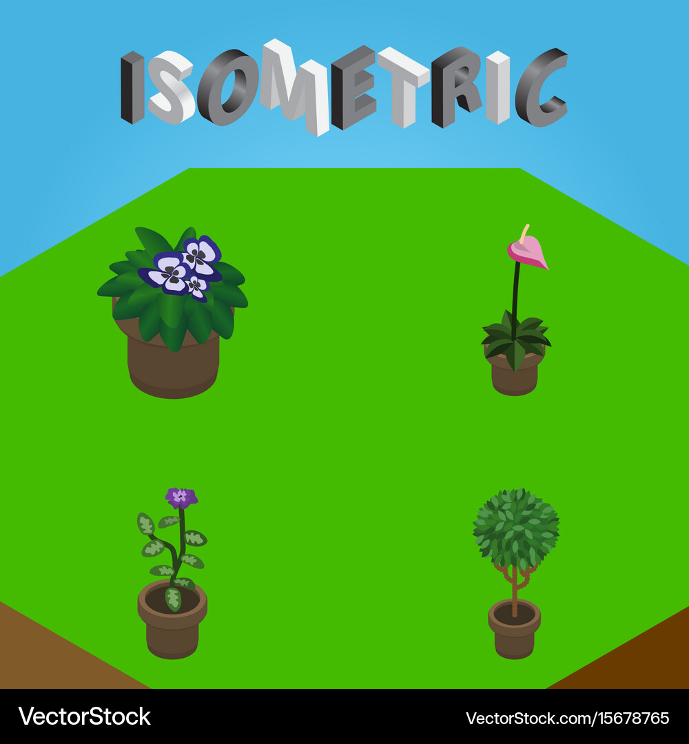 Isometric flower set tree flower grower and Vector Image