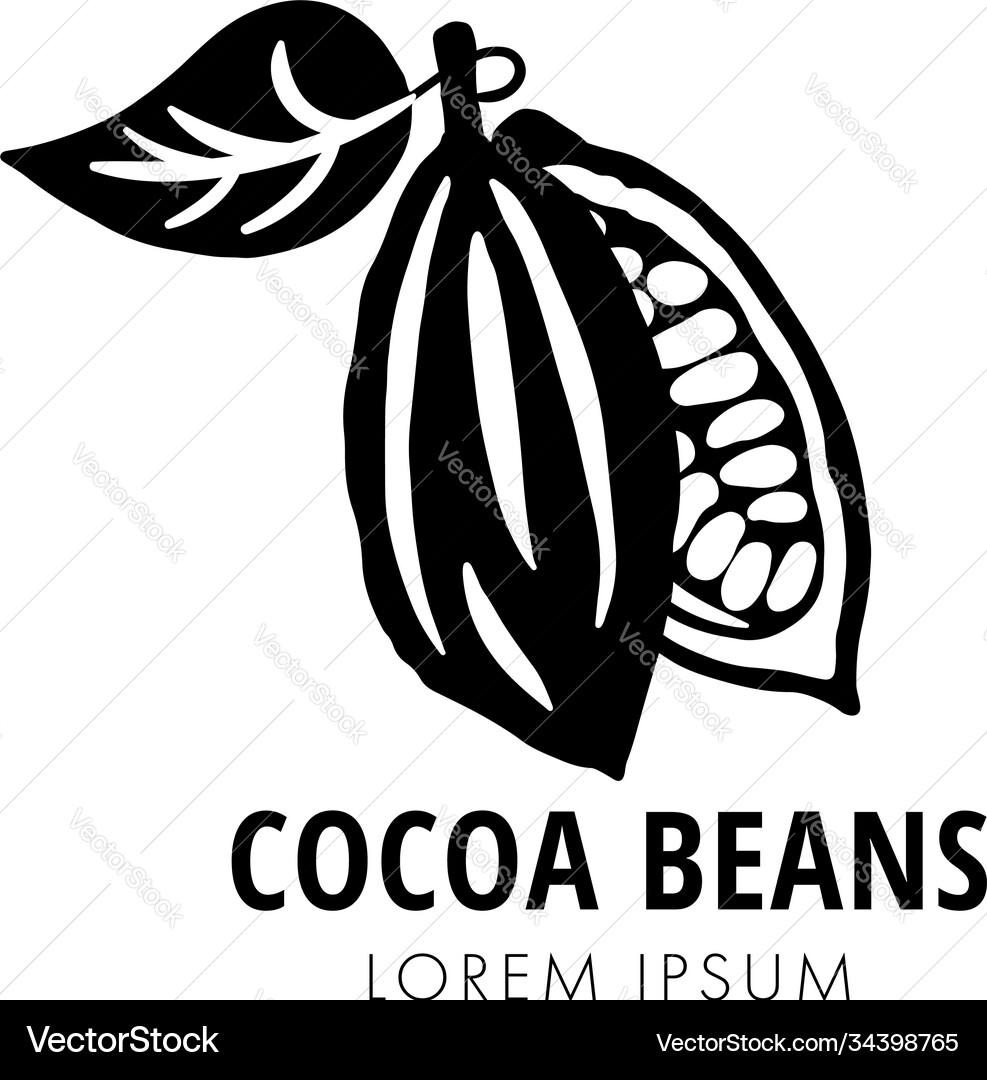 Monochrome cocoa beans logo chocolate cocoa beans Vector Image