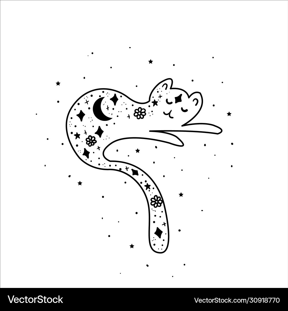 Black witch cat mystical animal Royalty Free Vector Image