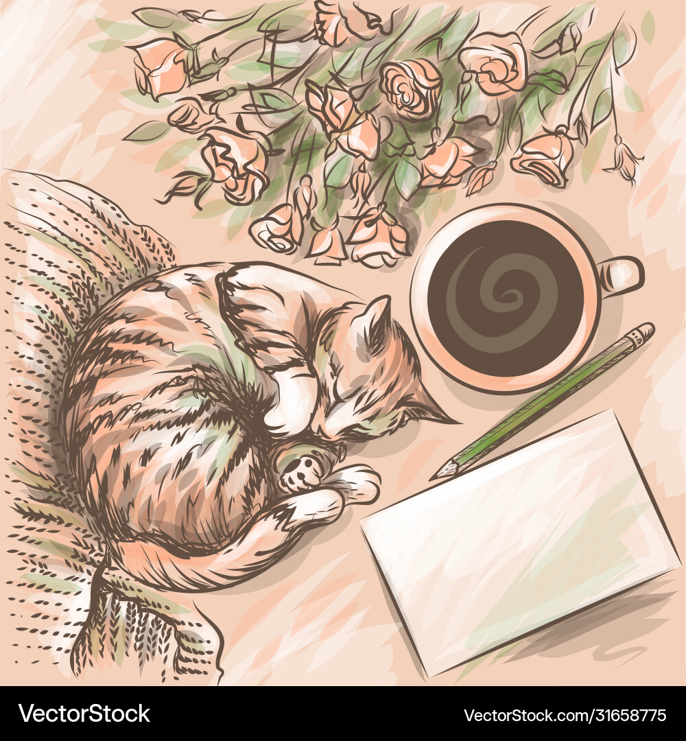 Flat lay colored sketch drawing depicting Vector Image