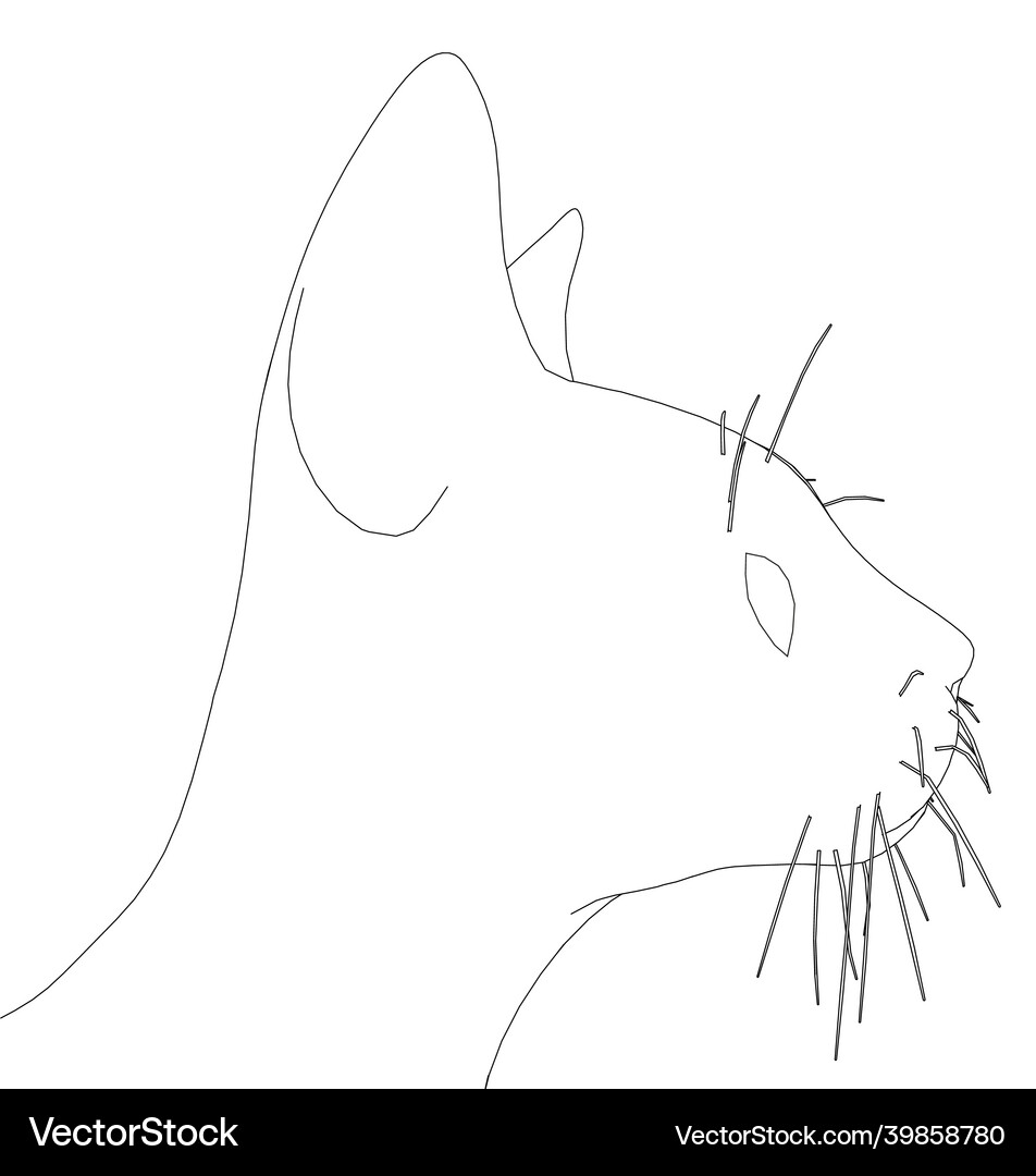 Cat head contour from black lines isolated Vector Image