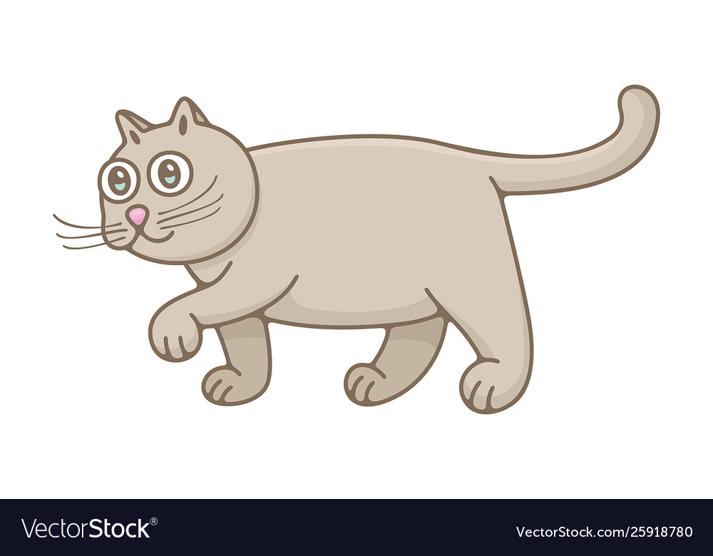 Cat Royalty Free Vector Image - VectorStock