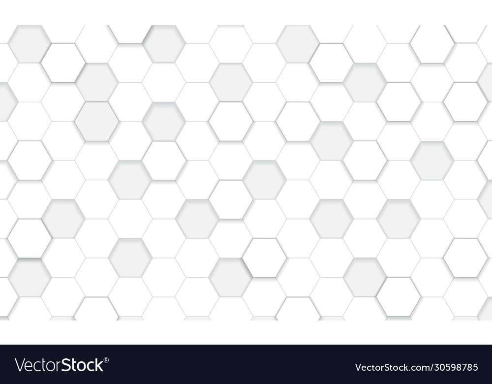 Abstract white grey hexagon pattern design Vector Image