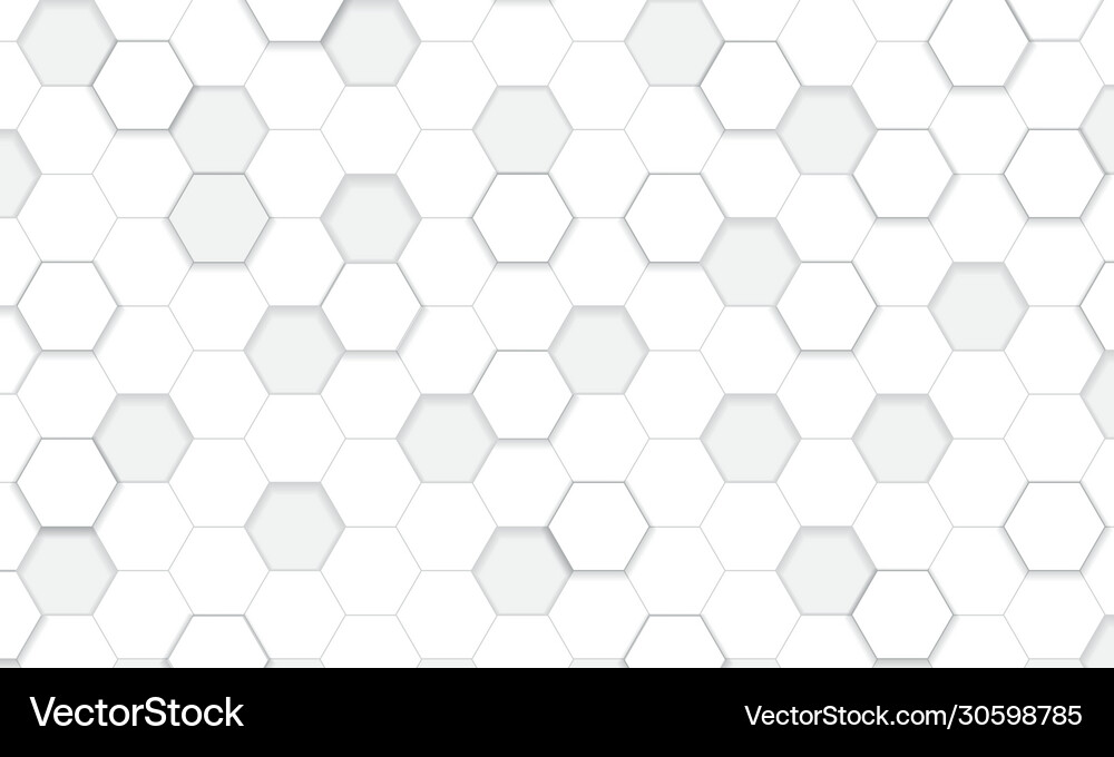 Modern White Hexagon Pattern Royalty Free Vector Image