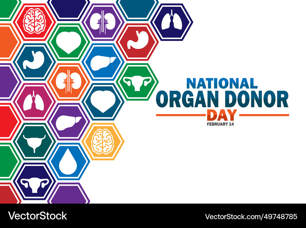 National organ donor day Royalty Free Vector Image