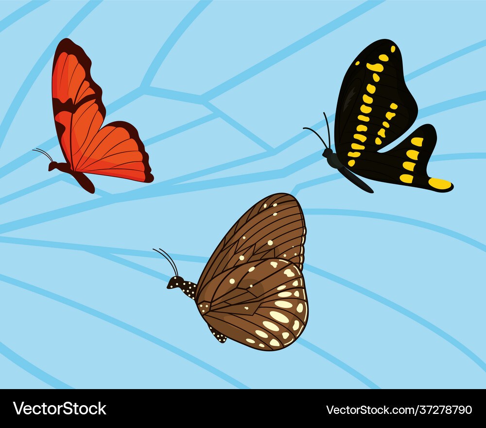 Beautiful butterflies flying Royalty Free Vector Image