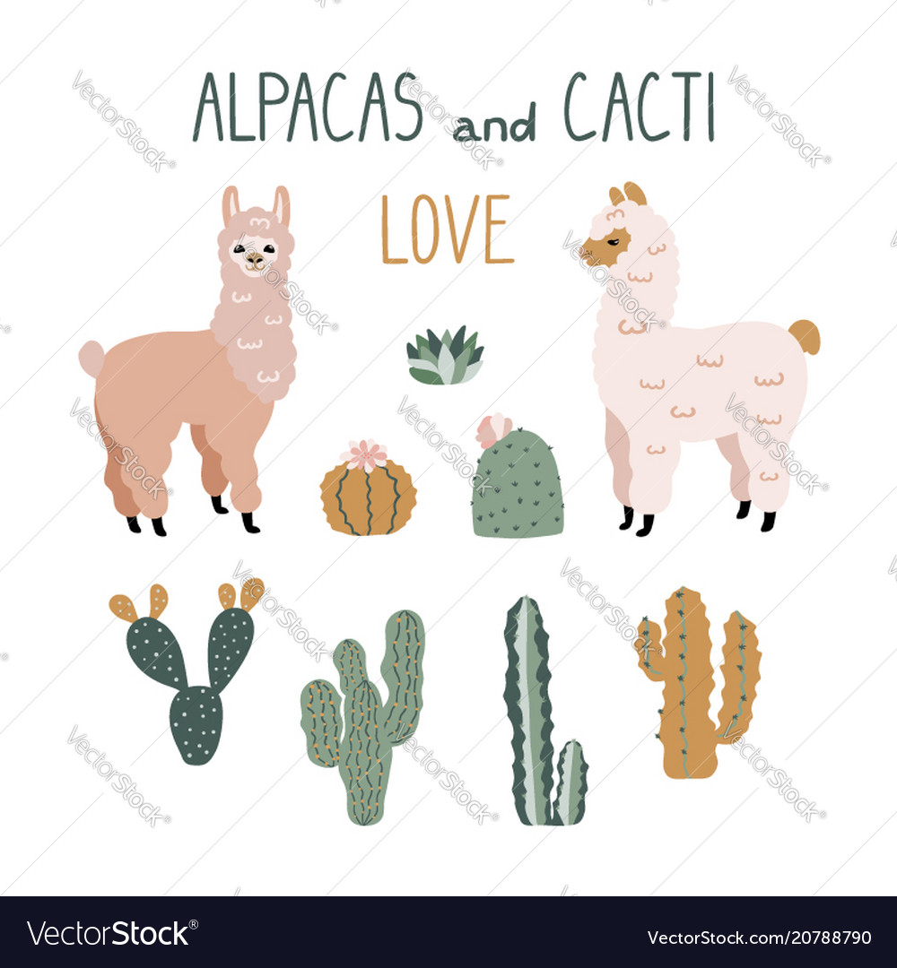 Cute cartoon alpacas and cacti design elements Vector Image