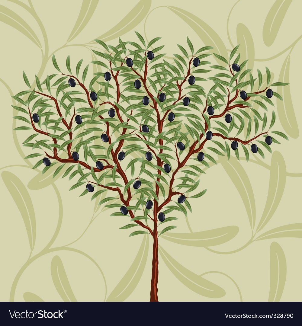 Olive Royalty Free Vector Image - VectorStock