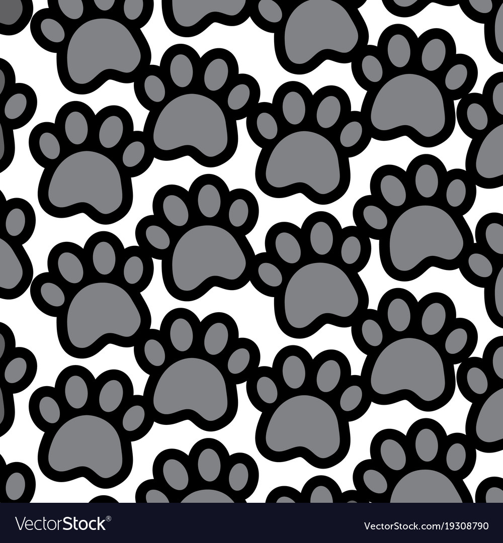 Paws pet pattern image Royalty Free Vector Image