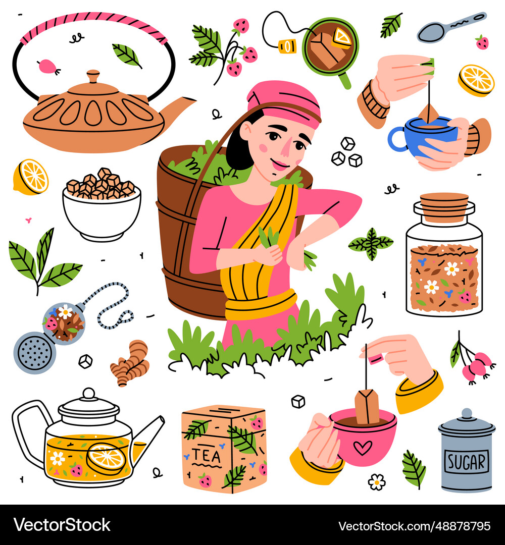 Aromatic tea with woman gathering leaf Royalty Free Vector