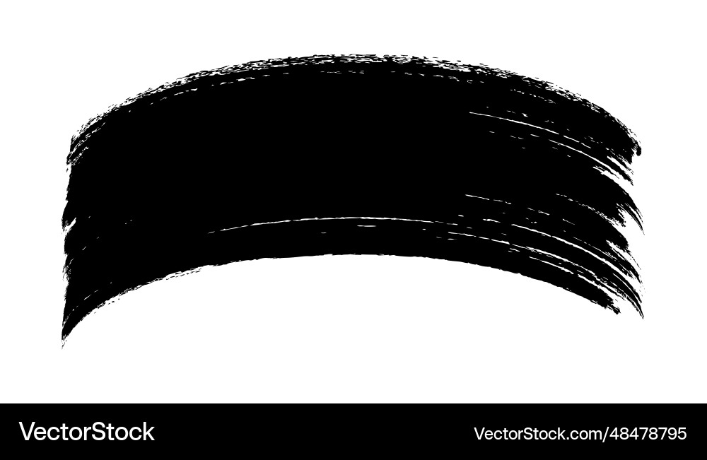 Curve paintbrush brush strokes template Royalty Free Vector