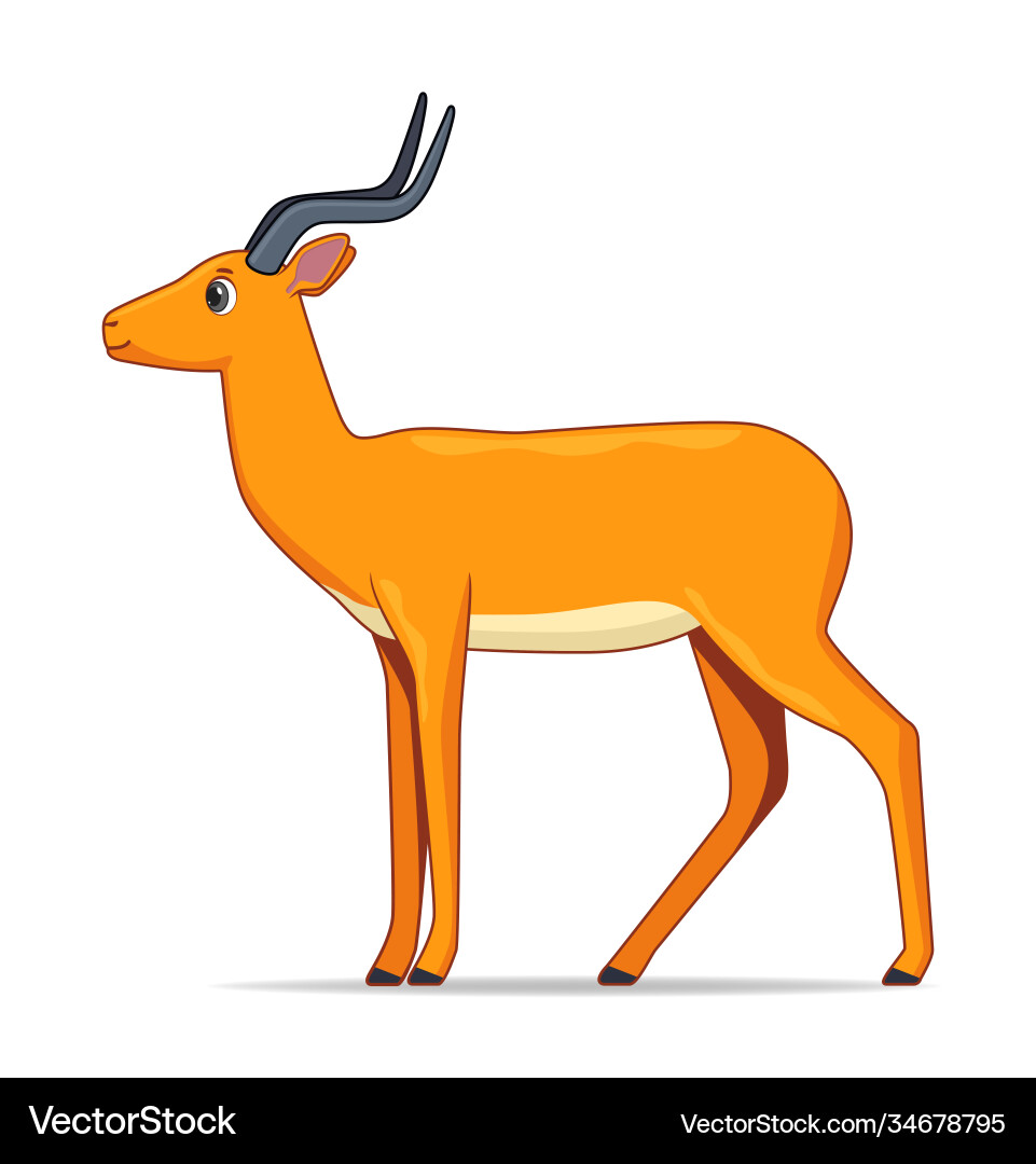 Impala antelope animal standing on a white Vector Image