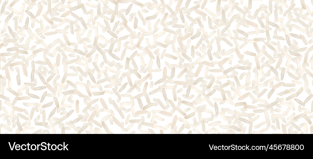 Basmati or jasmine white uncooked rice seamless Vector Image