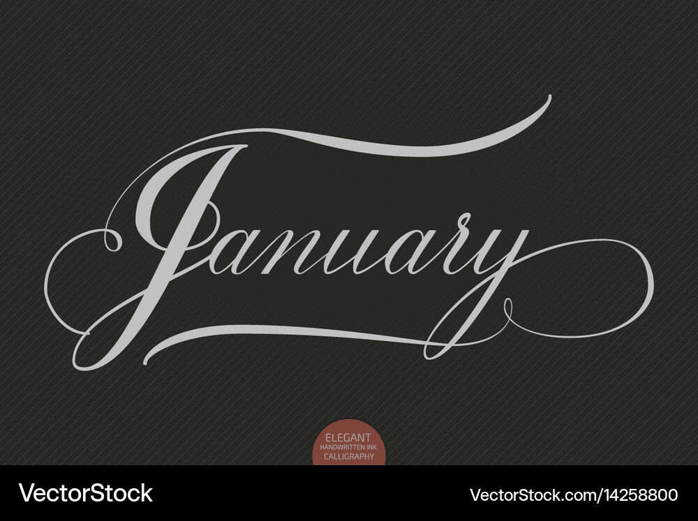 Hand drawn lettering january elegant Royalty Free Vector