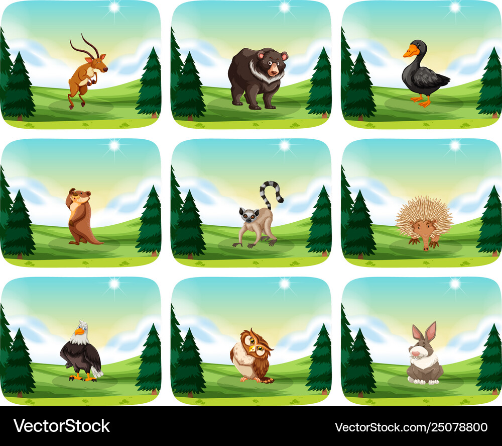 Set animal in nature Royalty Free Vector Image