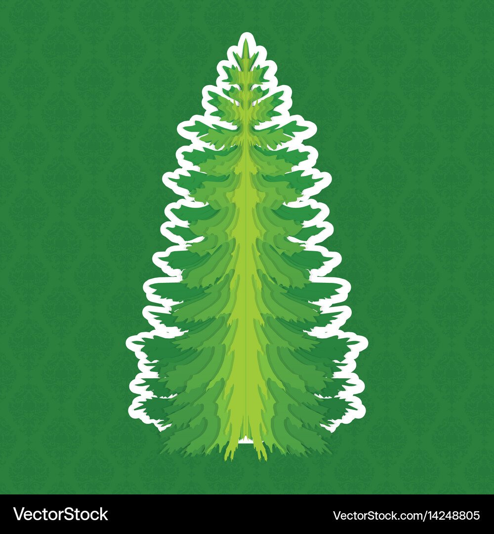 Christmas tree pine isolated Royalty Free Vector Image