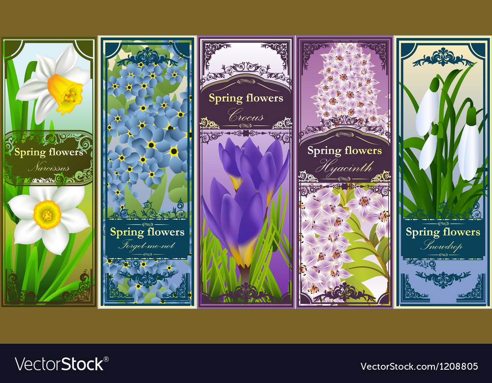 Five retro bookmarks with spring flowers Vector Image