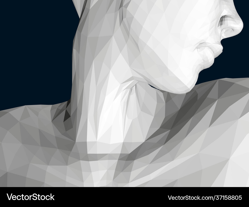 Polygonal model a girl with her head turned Vector Image