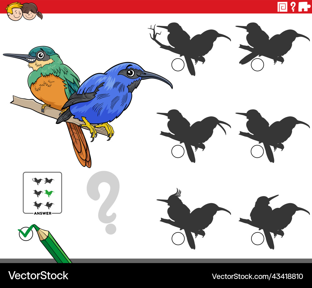 Shadows game with cartoon bird characters Vector Image