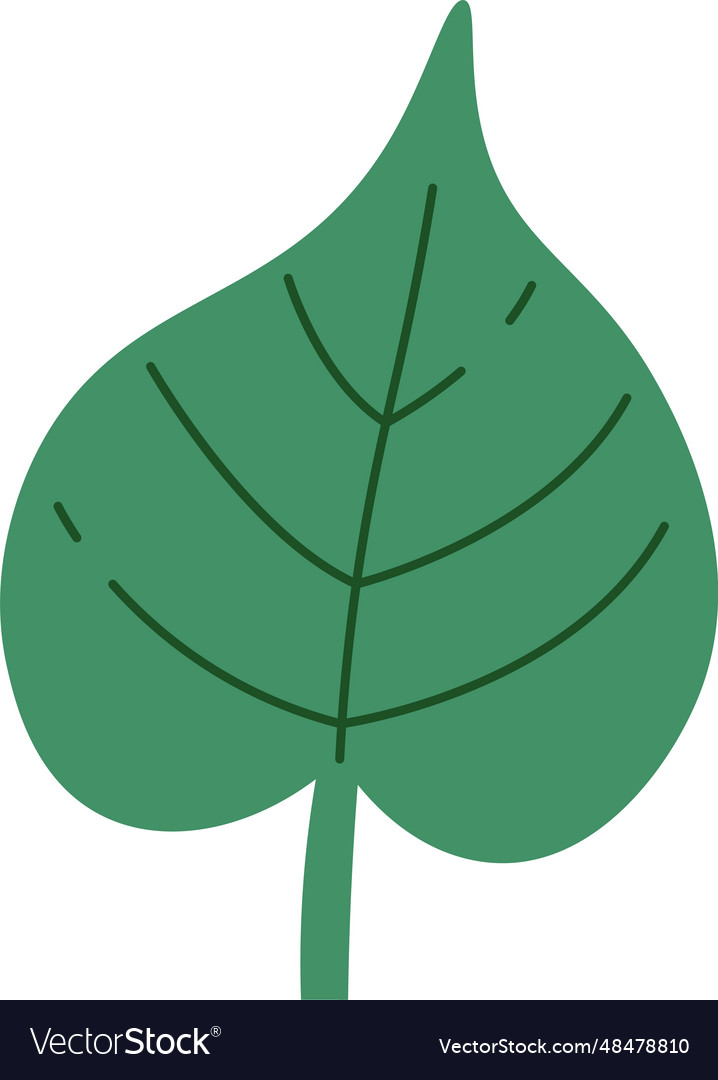Tree leaf icon Royalty Free Vector Image - VectorStock