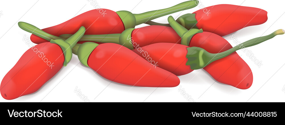 Group of peri peppers Royalty Free Vector Image
